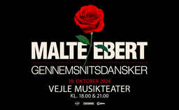 Malte Ebert – Gennemsnitsdansker, Vejle Musikteater, October 19 2024 ...