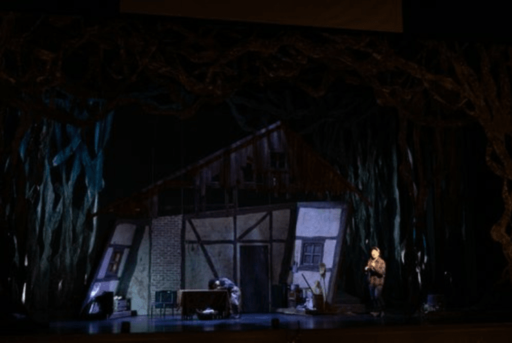 125 Fotos de New Orleans Opera, New Orleans, United States | Operabase